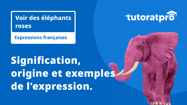 Voir des éléphants roses - Signification et Définition